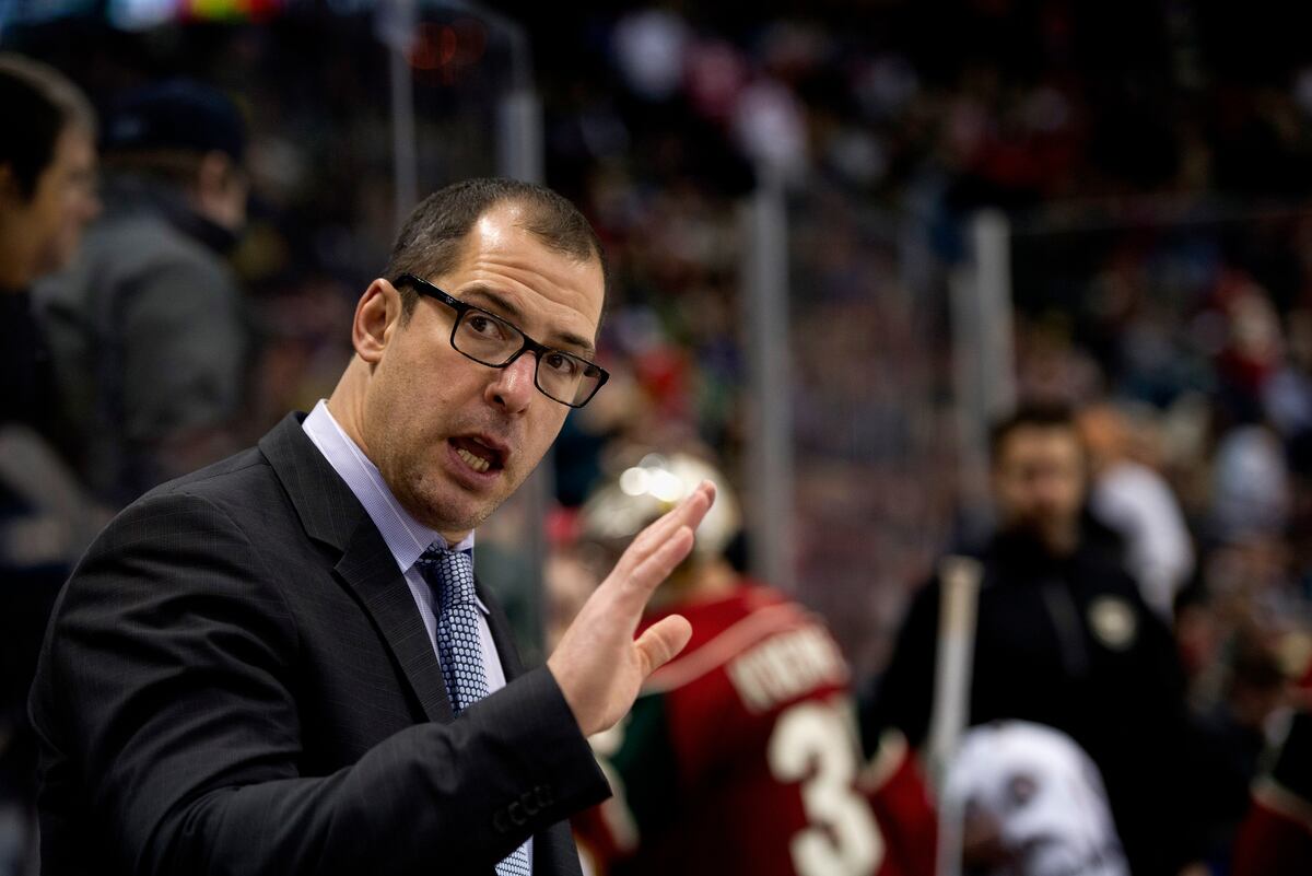 Darryl Sydor, Wild Assistant Coach, Pleads Guilty to DUI | News, Scores ...