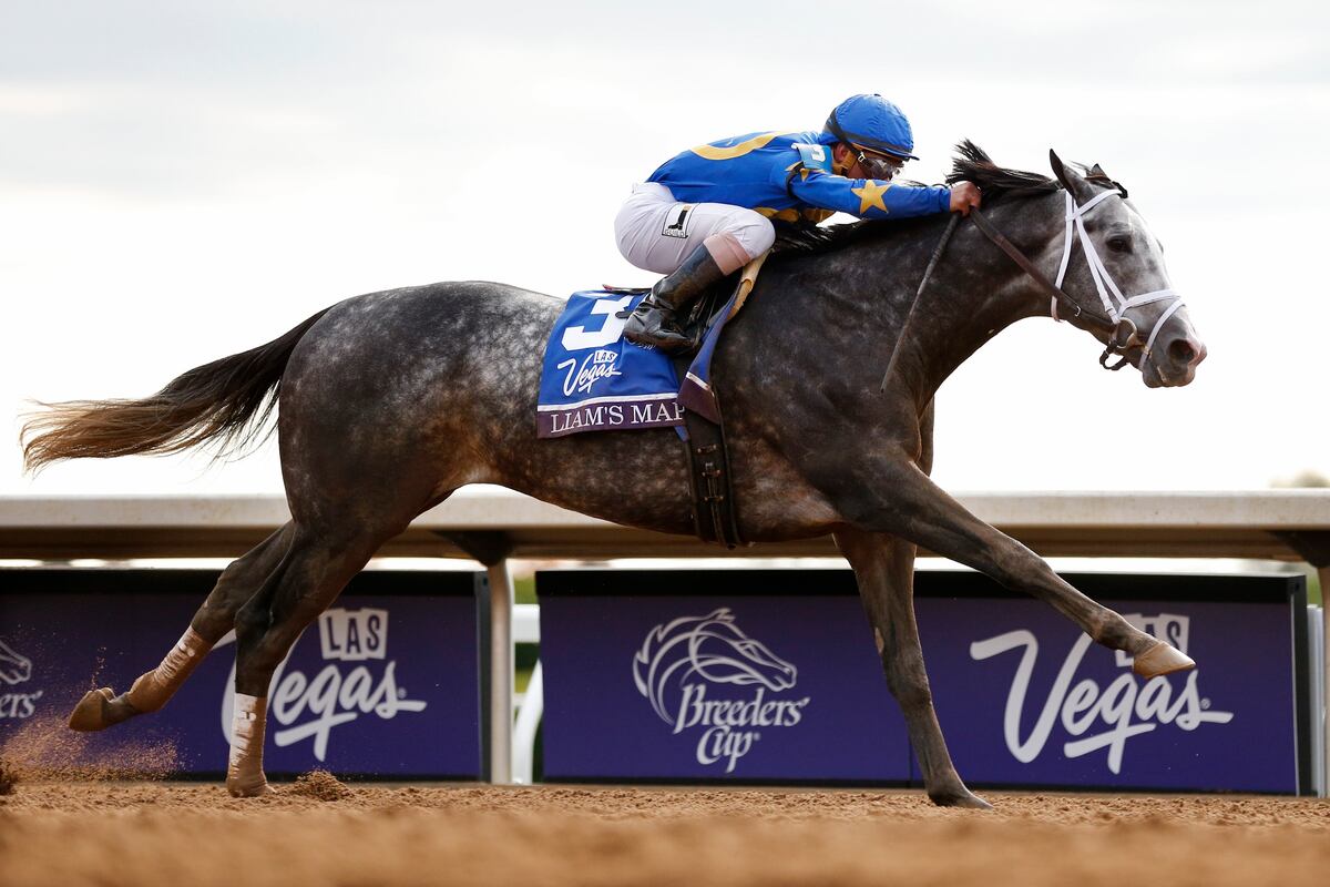Breeders' Cup 2015 Payouts: Prize Money, Purse Info for All Races on ...