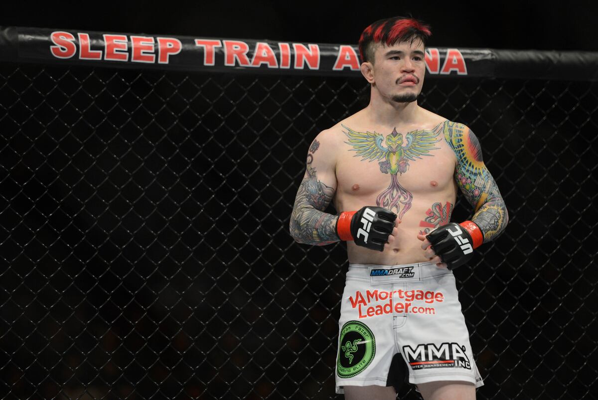 The Ultimate Fighter Latin America 2 Finale: Who's on the Hot Seat ...