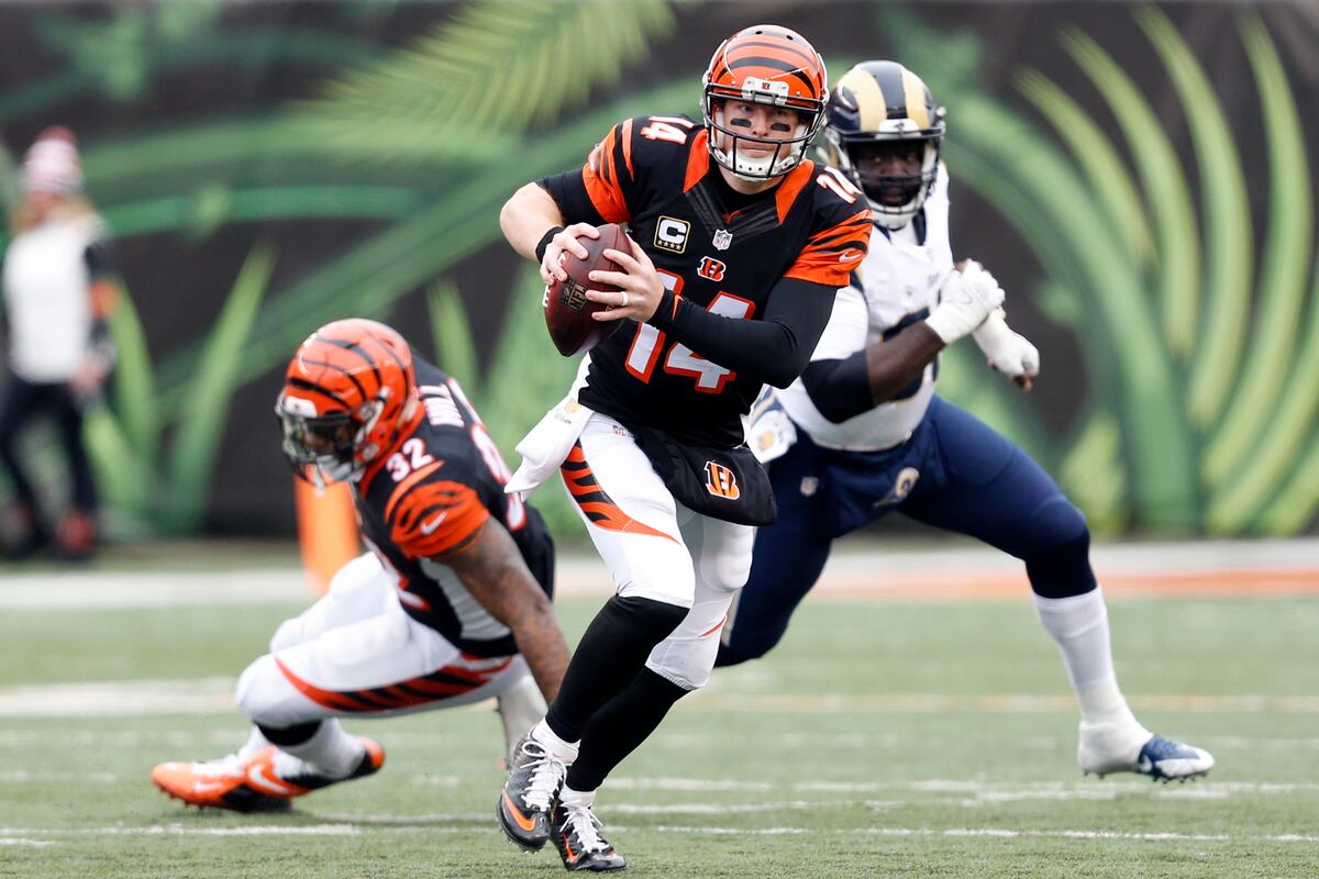Cincinnati Bengals Look Nearly Unstoppable in Pursuit of AFC Playoff ...