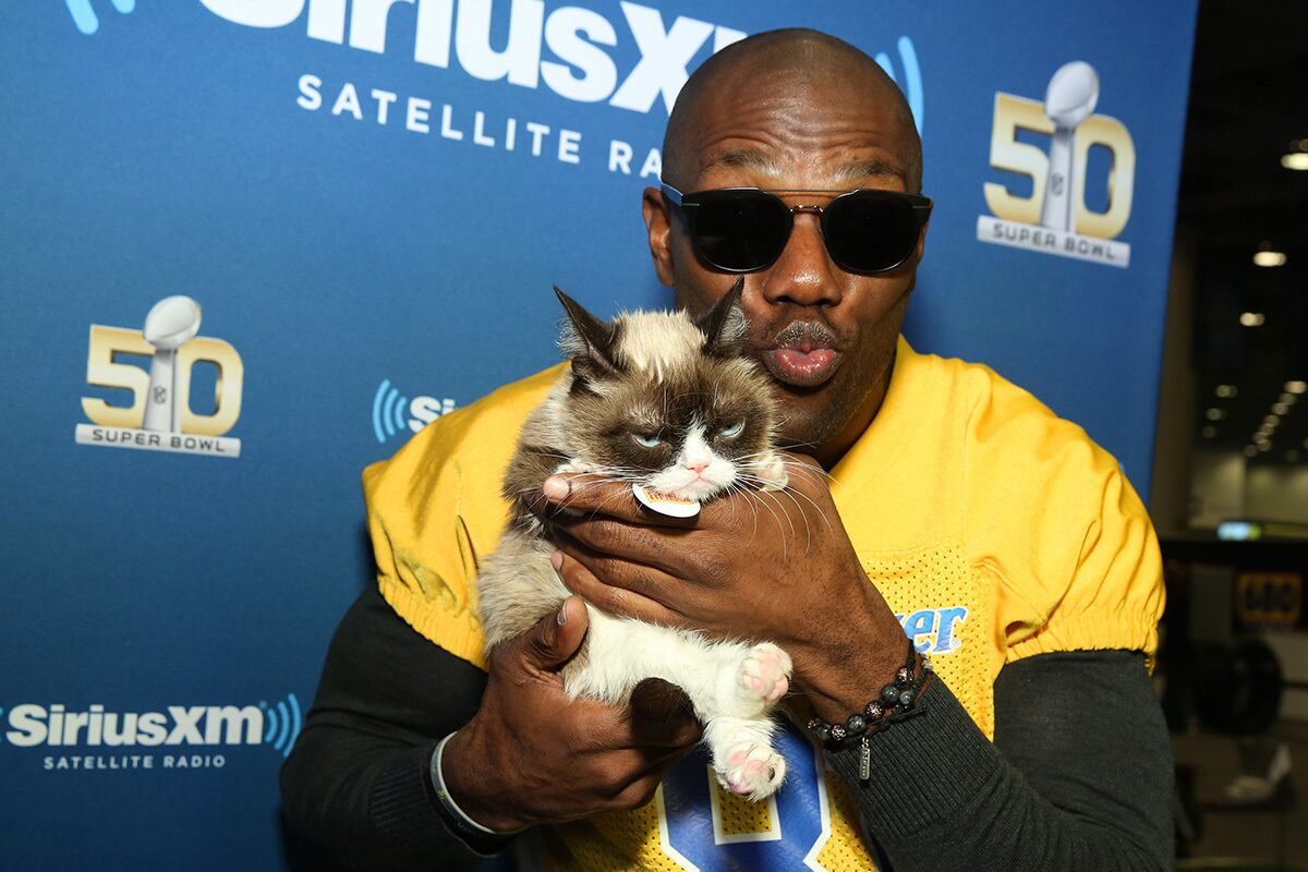 Terrell Owens: I Had More Swag Than Cam Newton | News, Scores ...