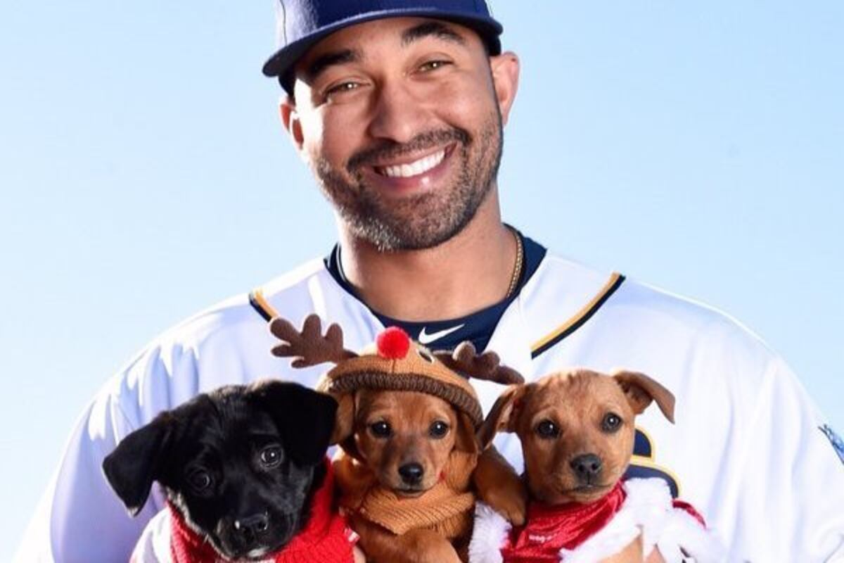 San Diego Padres Have Puppies Join Players for Photo Day | News, Scores ...