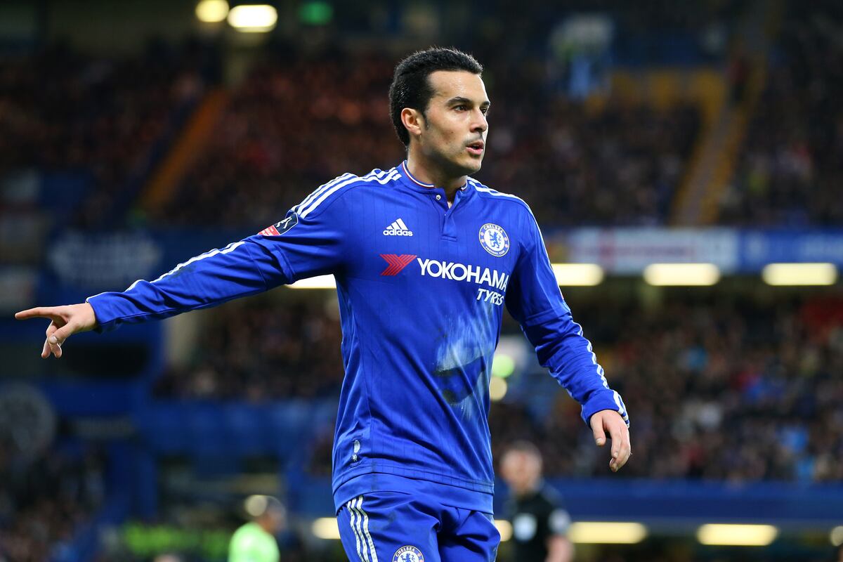 Pedro Injury: Updates on Chelsea Star's Nose and Return | News, Scores ...