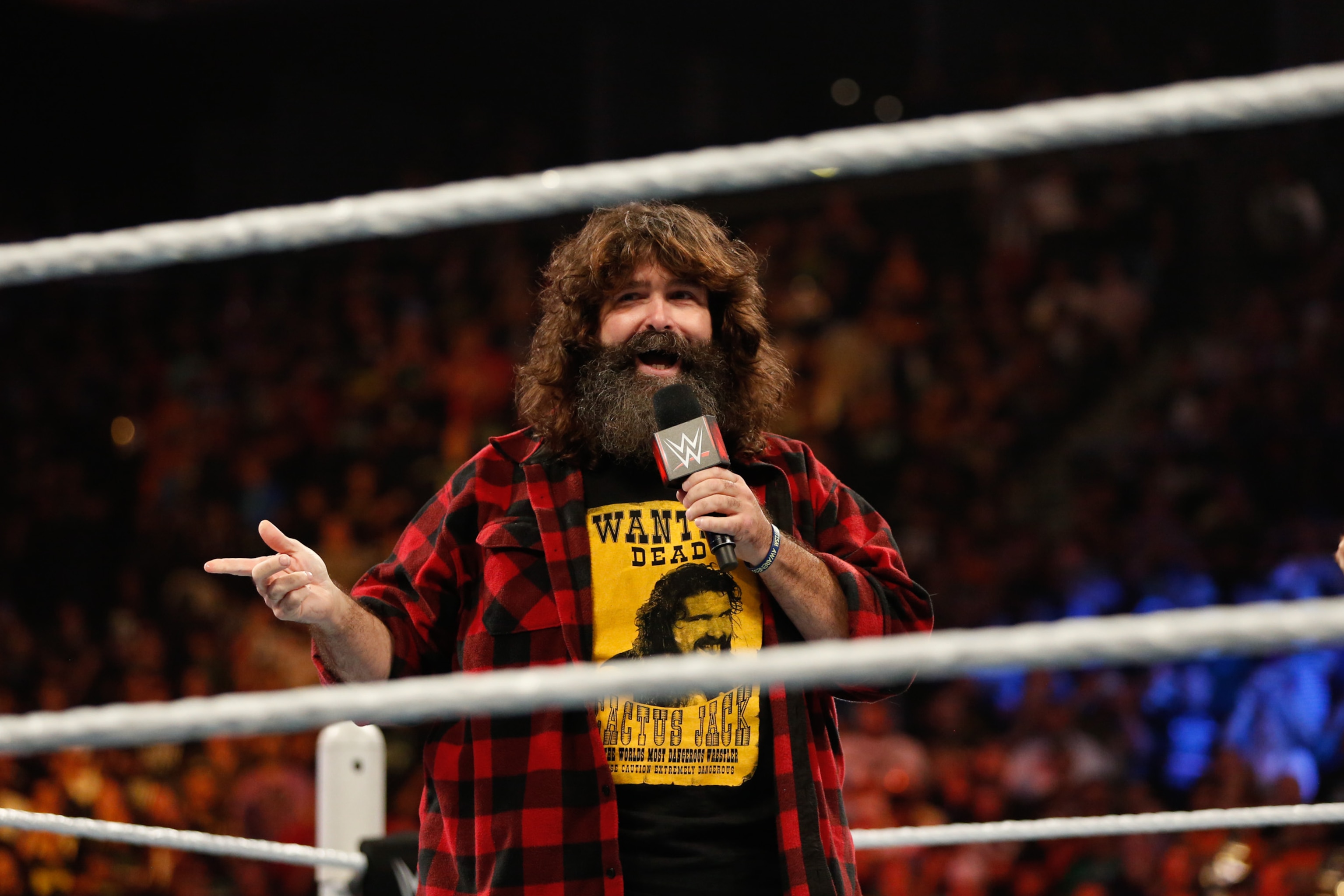 √ Mick Foley Personas