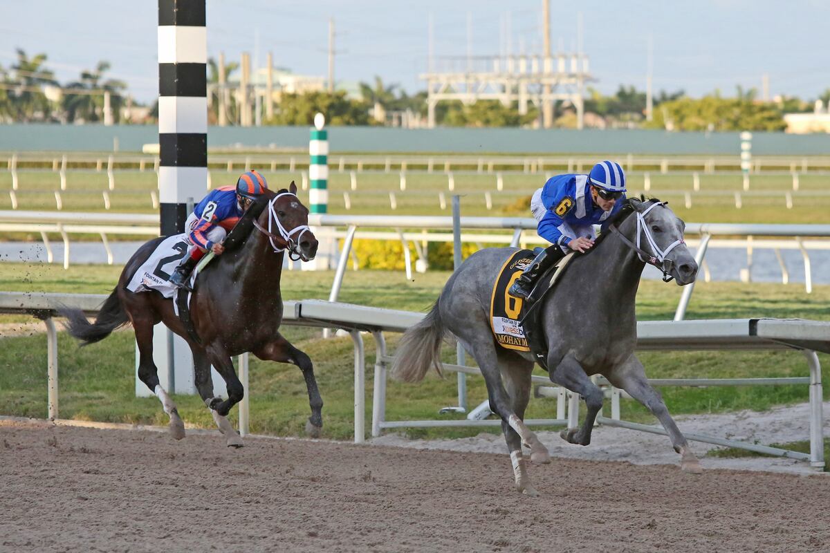 Blue Grass Stakes 2016: TV Schedule, Post Positions, Odds, Contenders ...