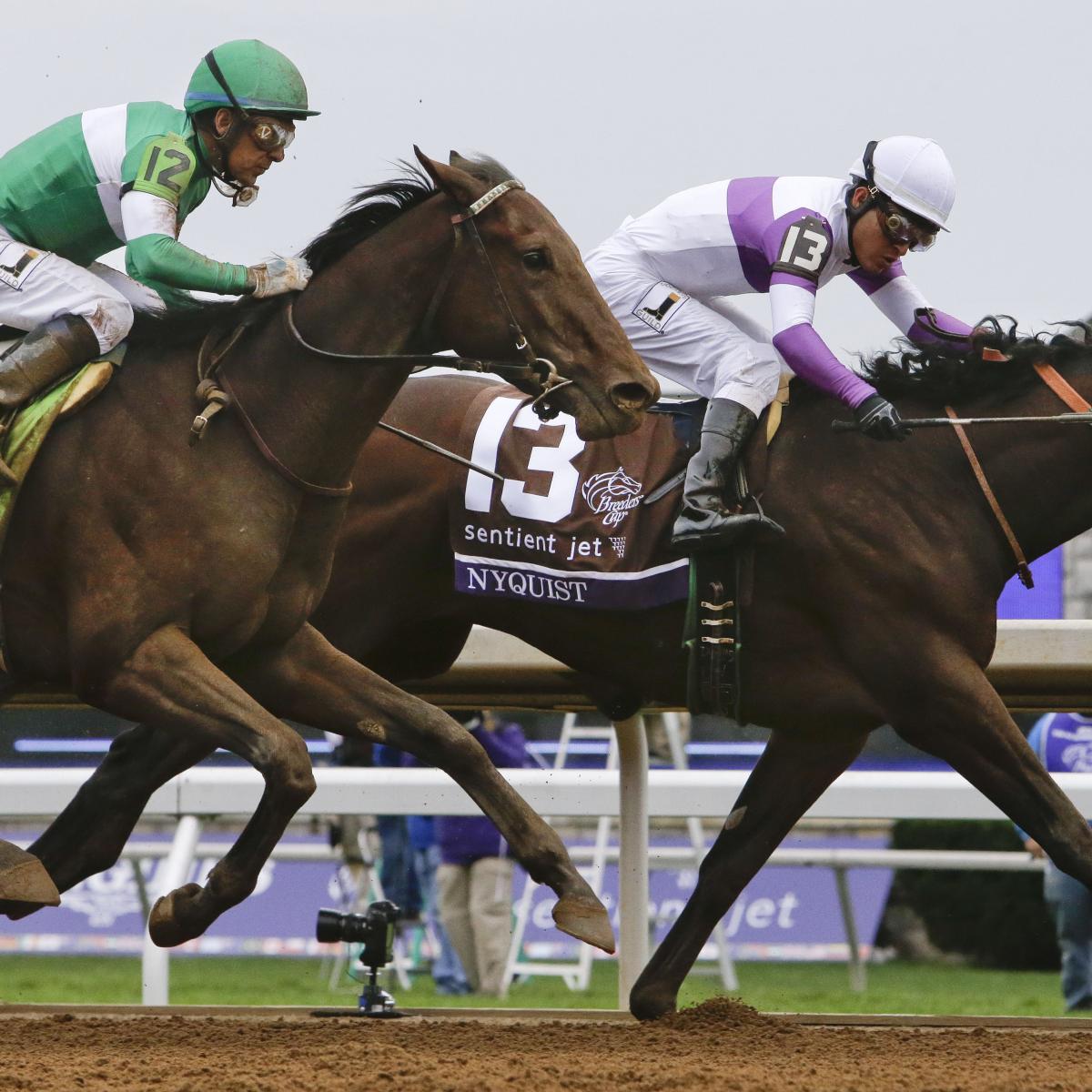 Kentucky Derby 2016 Post Positions: Triple Crown Odds and Predictions ... Kentucky Derby 2016 Post Positions: Triple Crown Odds and Predictions ...