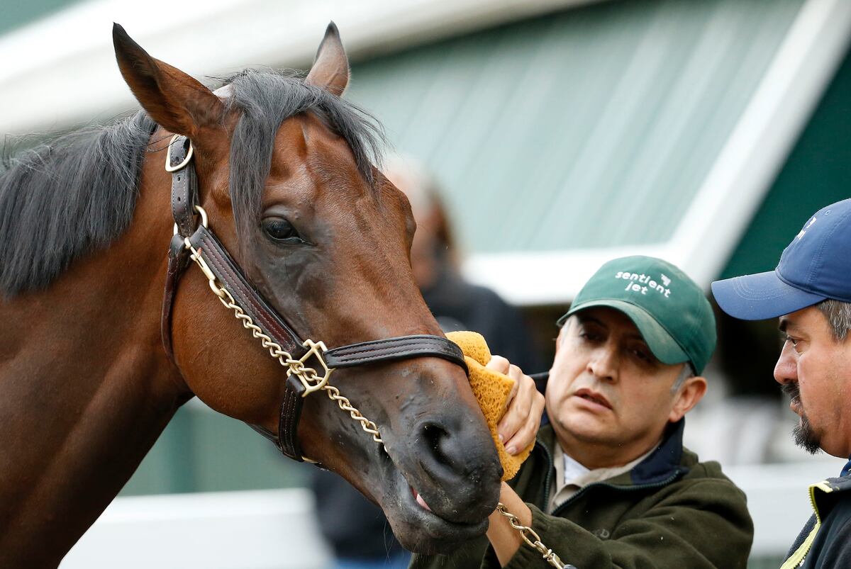 Preakness Odds 2016: Race Lines and Post Positions for Pimlico | News ...