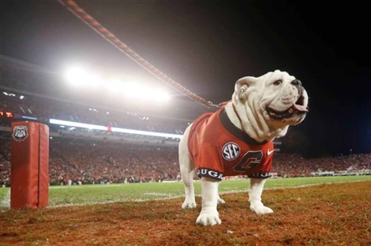 10 Best Live College Football Mascots | News, Scores, Highlights, Stats ...
