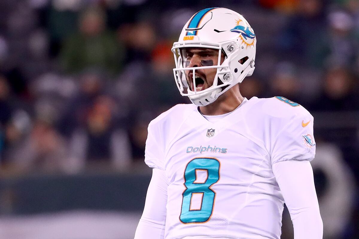 Matt Moore, Surging Defense Good Enough to Propel Dolphins to Playoff ...