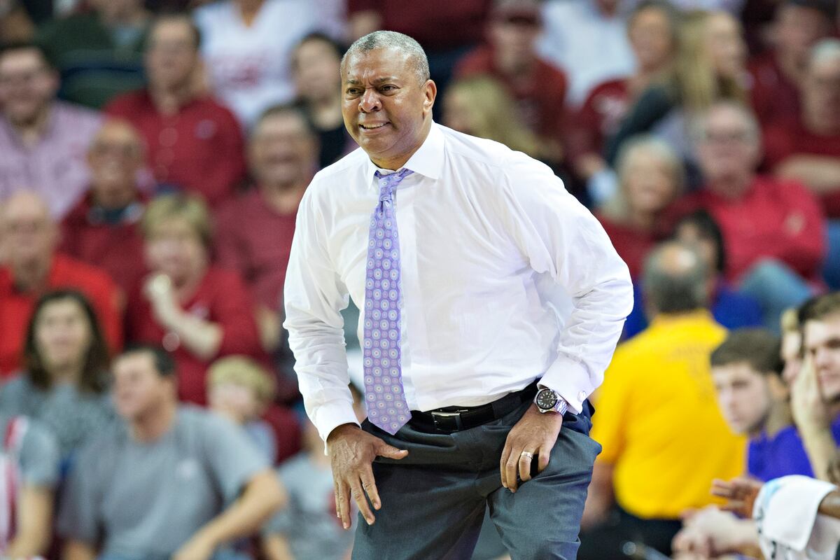 Scout: Head Coach Johnny Jones and LSU Look to Bounce Back vs. Florida ...