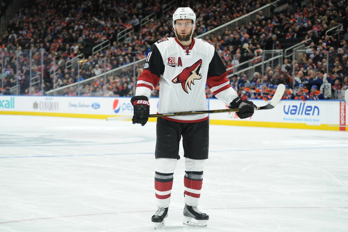 Ranking the Best Potential Landing Spots for Arizona's Martin Hanzal ...