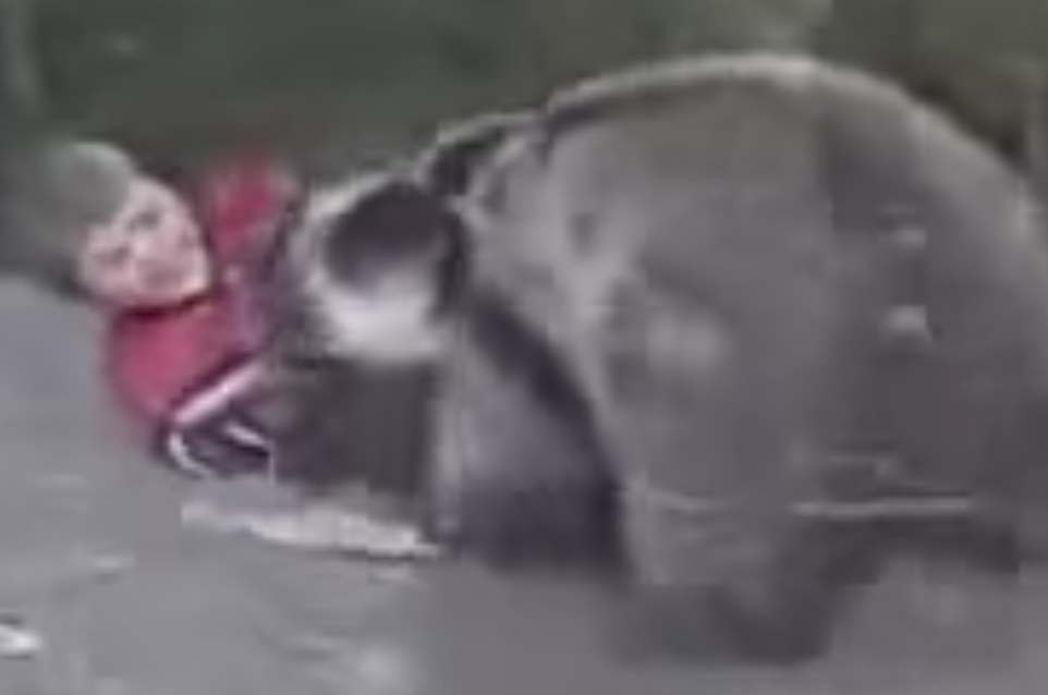 That Time a Young Khabib Nurmagomedov Wrestled a Bear | Bleacher Report ... That Time a Young Khabib Nurmagomedov Wrestled a Bear | Bleacher Report ...