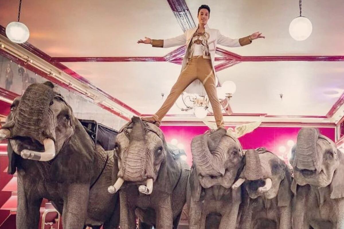 Bergen Beton Plastic Circus Elephant And Acrobat Woman