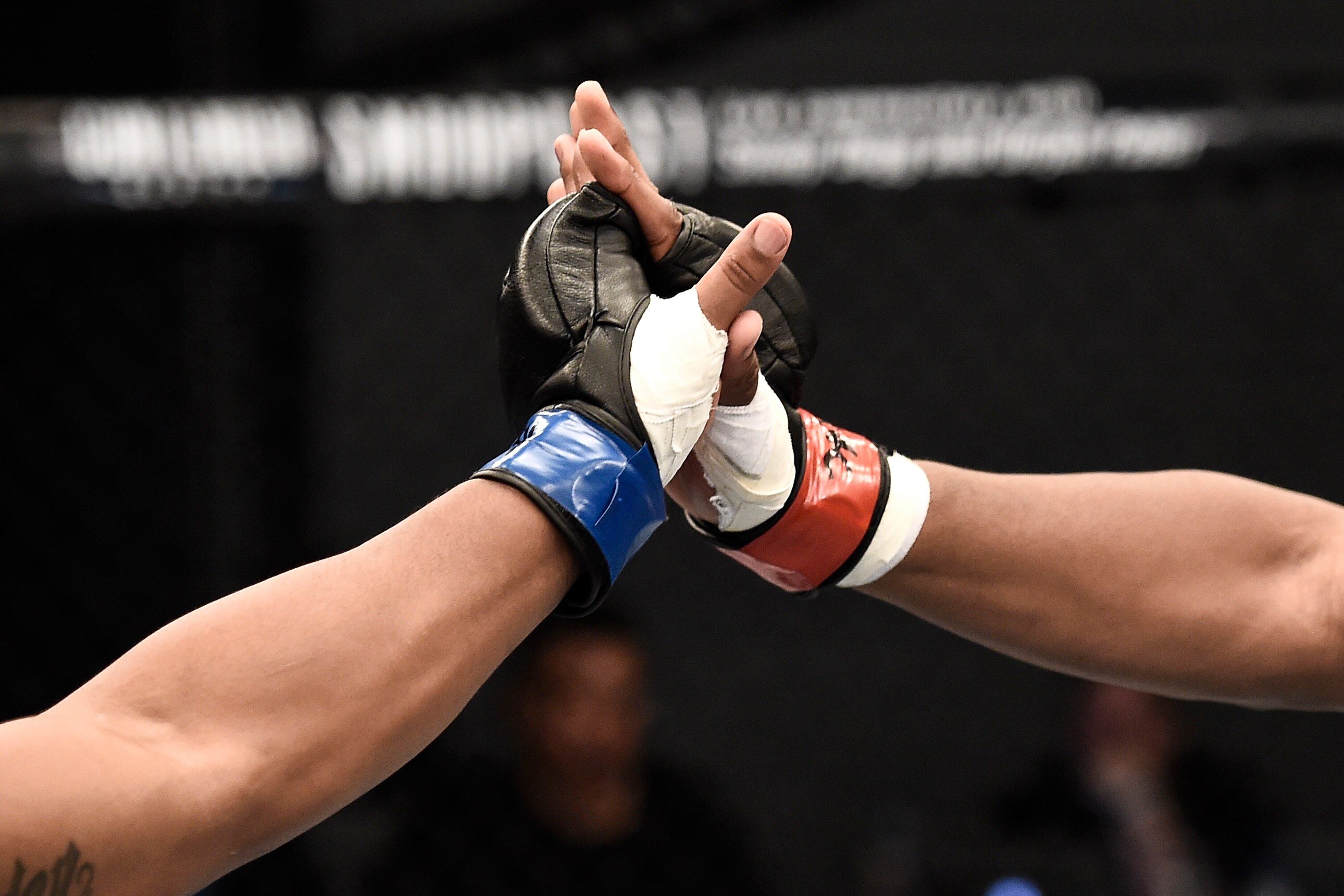 MMA Fighter Sergio Da Silva Reportedly Arrested for Alleged Bank Ro...