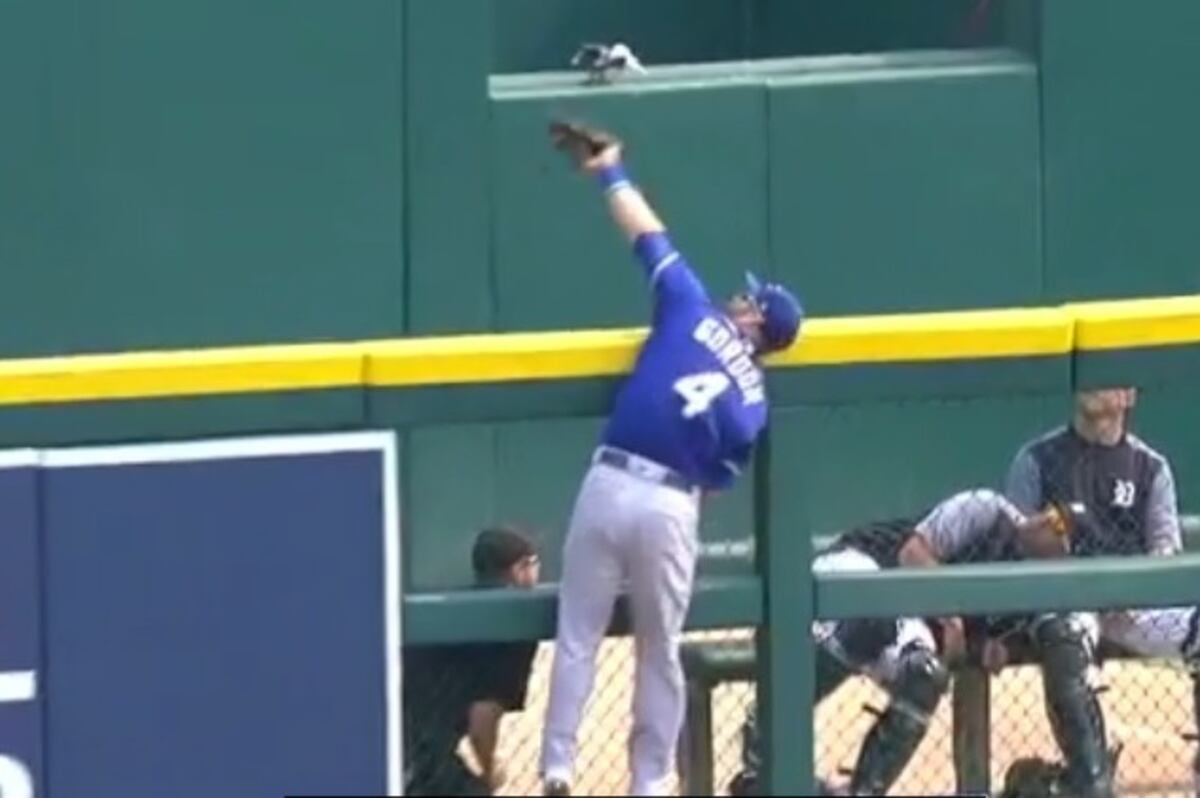 Royals' Alex Gordon Reaches Over Fence to Rob Tigers' Mikie Mahtook of ...