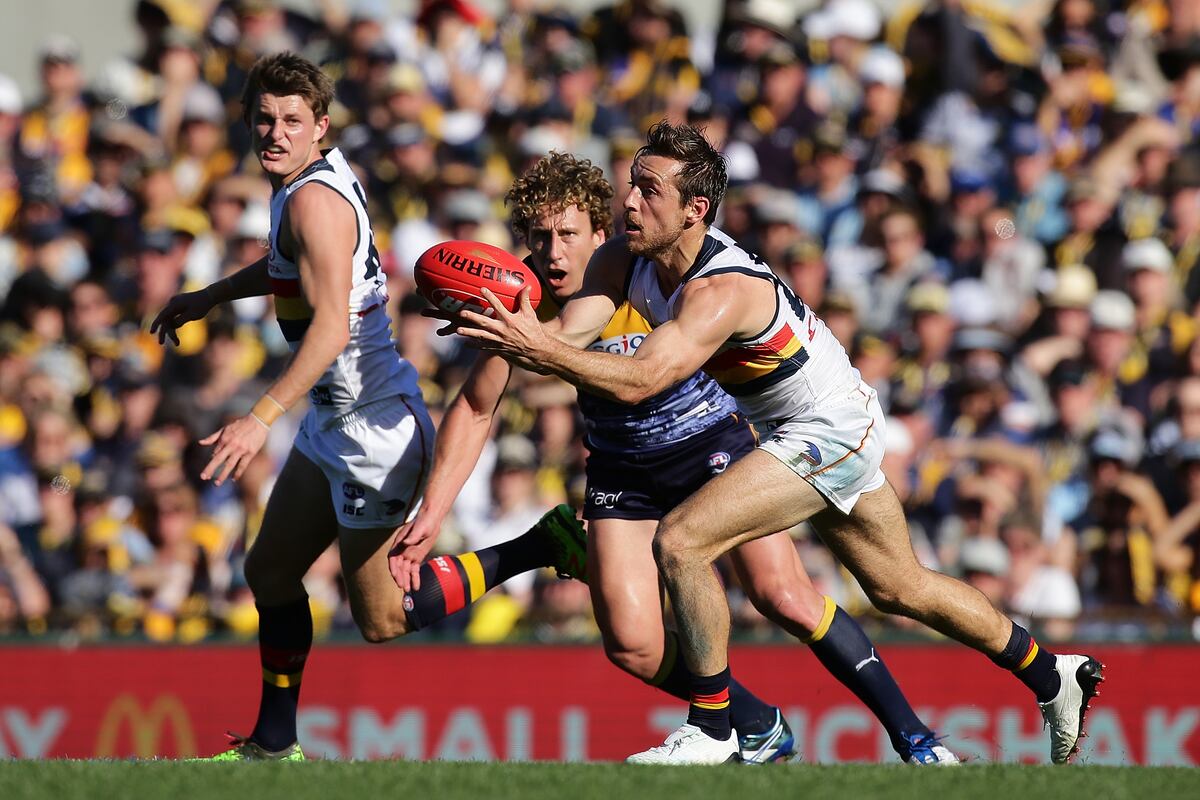 AFL Finals Week 1 Betting Preview: Game Odds, Trends, Analysis for Week ...