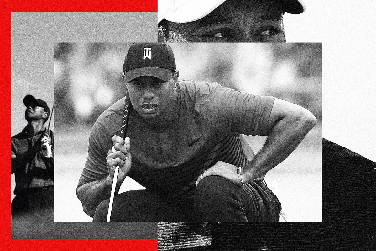 Why We Can't Stop Watching Tiger | News, Scores, Highlights, Stats, and ...