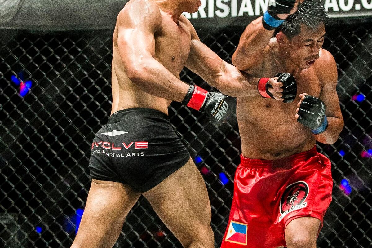 MMA Fighter Left Frozen After One-Punch Knockout | News, Scores ...