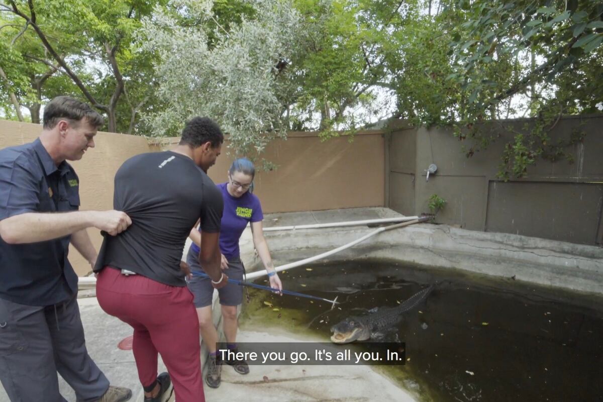 Minkah Fitzpatrick Explores New Home and Finds His Fit in Miami | News ...