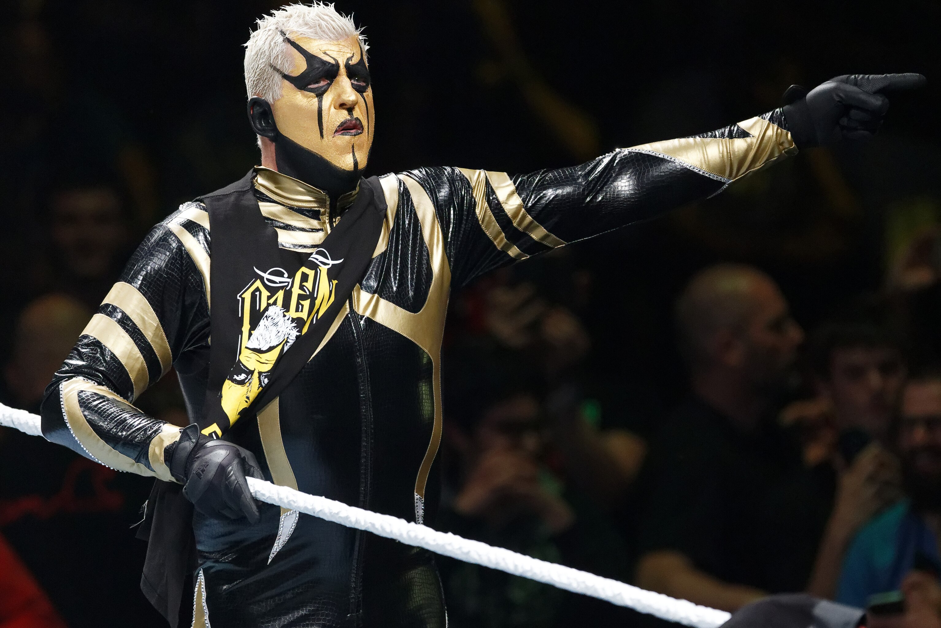 Wwe Goldust Brother