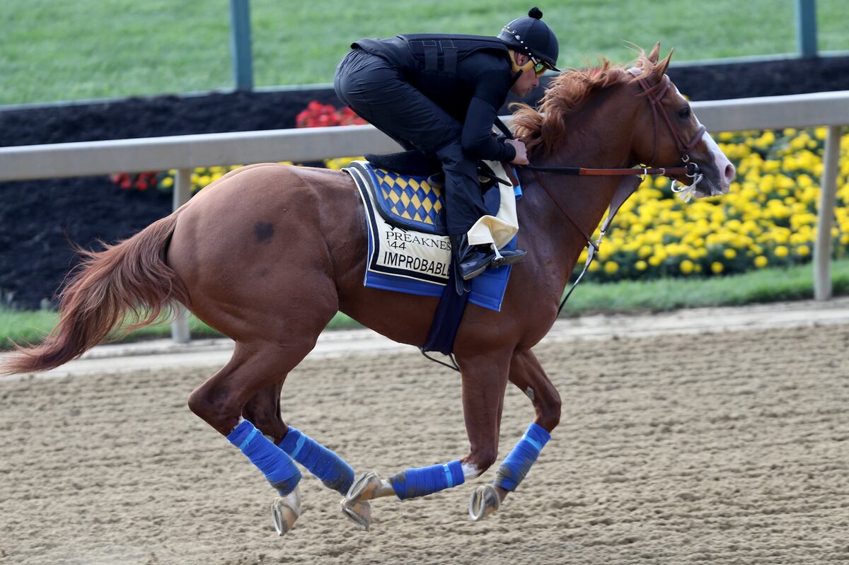Preakness 2019 Post Positions: Latest Odds, Historical Stats for Each ...