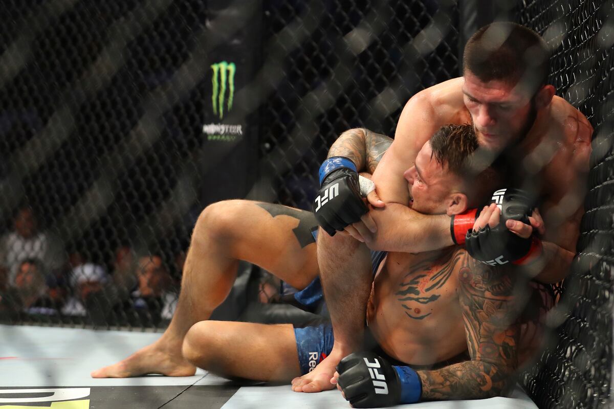 UFC 242 Results: Khabib, Paul Felder Highlight Biggest Winners from ...