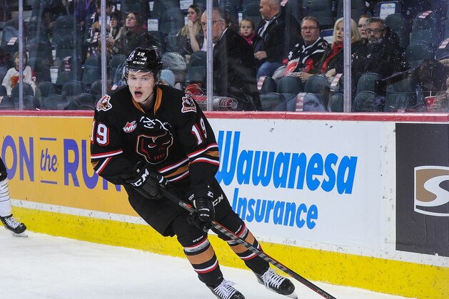 Video: Stuffed Animals Rain Down onto Ice for Calgary Hitmen Teddy-Bear ...