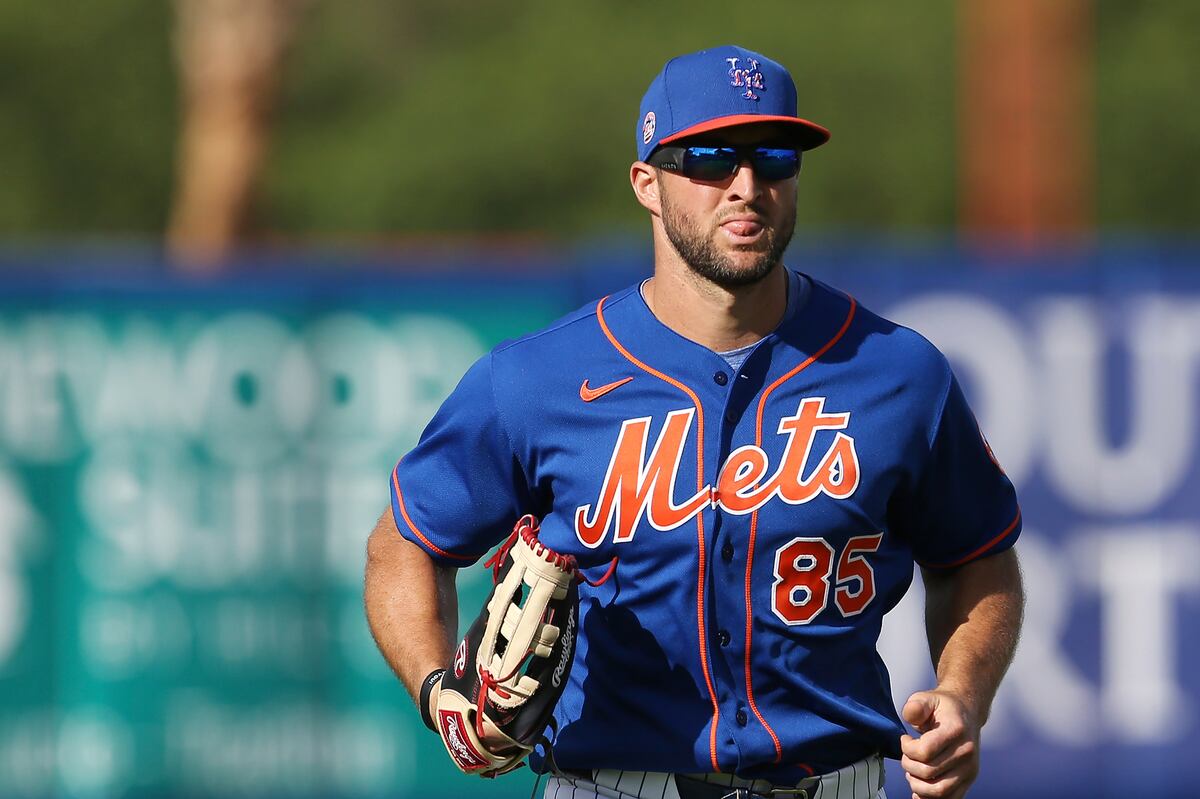 Tim Tebow, Wife Demi-Leigh Nel-Peters Announce Adoption of 3 Dogs ...