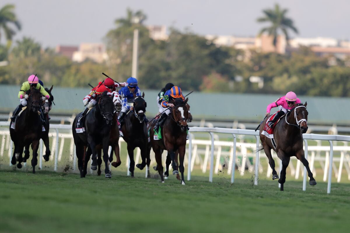 Bettor Wins over $500k on 50-Cent Pick 5 on Horse Races at Gulfstream ...