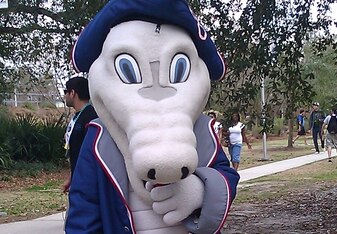 Sports' Craziest Mascots Explained