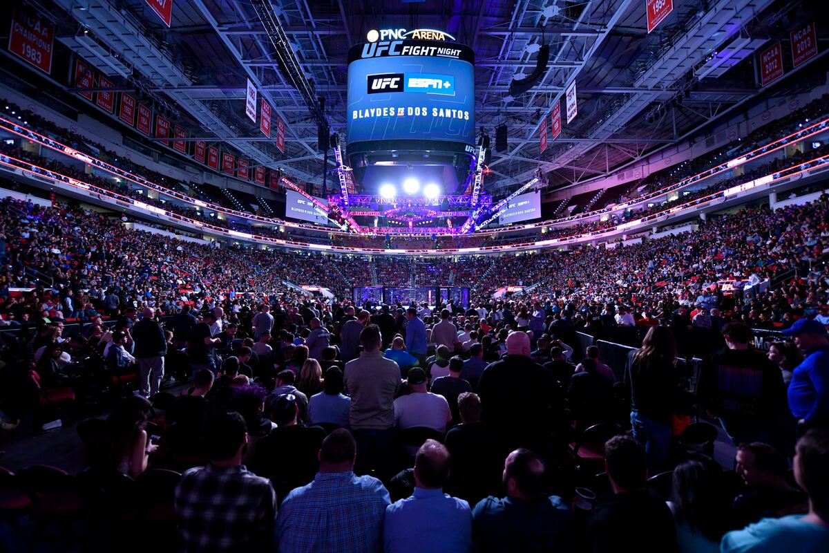 The Real Winners and Losers from UFC Fight Night 166 | News, Scores ...