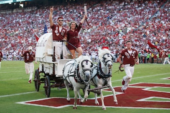 Ranking the Best College Mascots