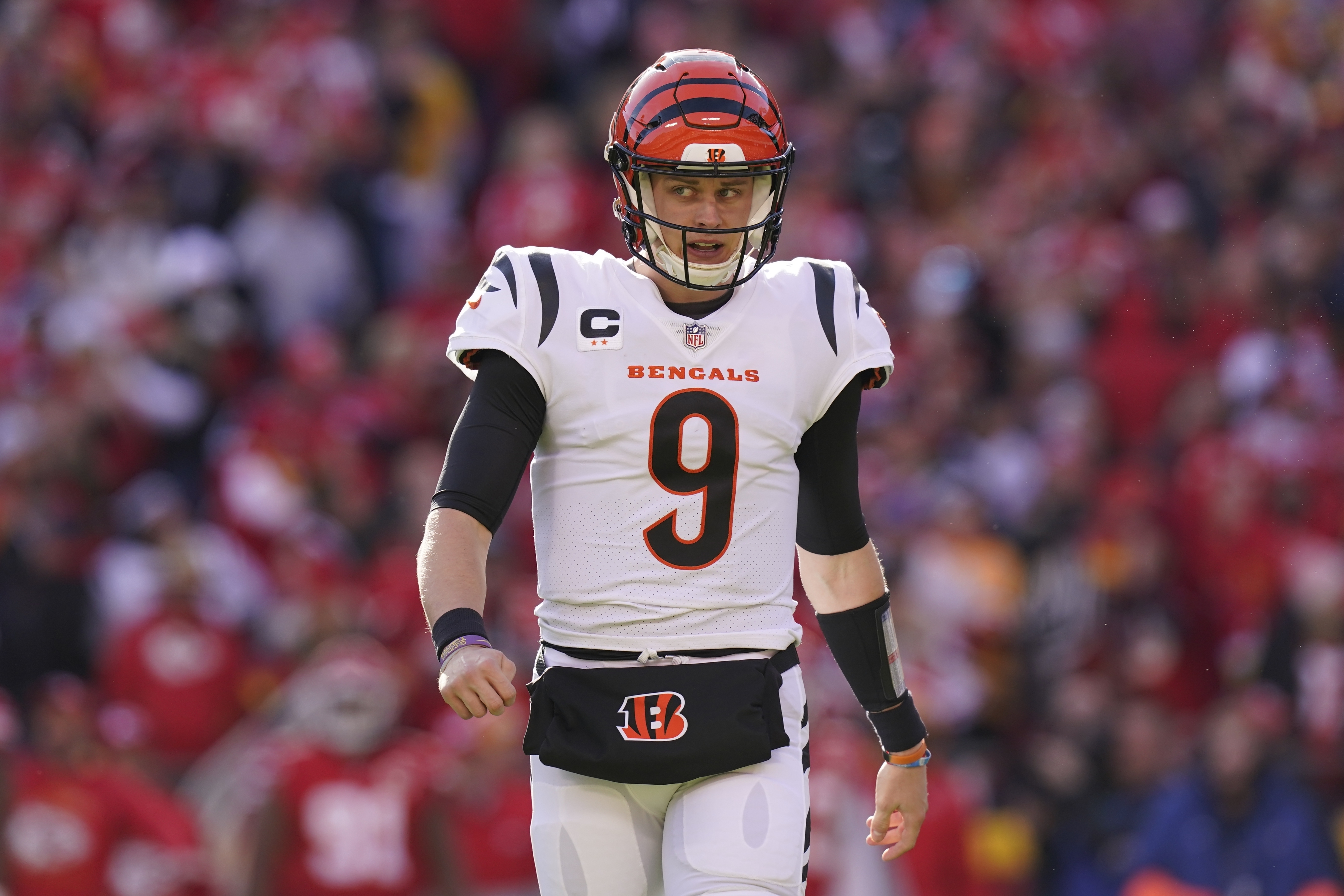 Super Bowl 2022 Rams Vs Bengals Box Score And Stats Predictions Super Bowl 2022 Rams Vs Bengals Box Score And Stats Predictions